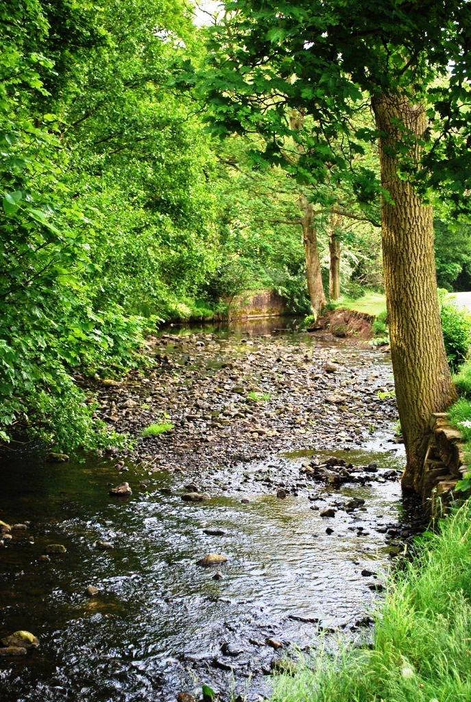 River Sheaf 1 | Friends of Millhouses Park