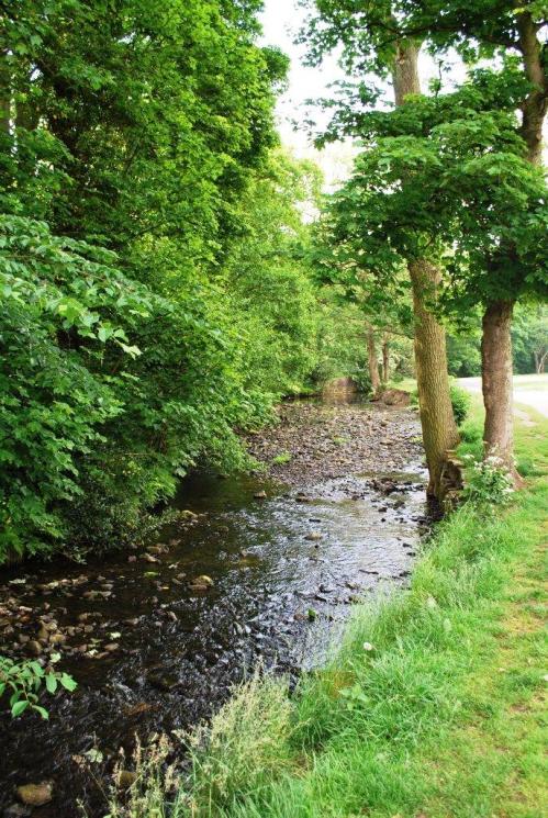 Gallery | Friends of Millhouses Park